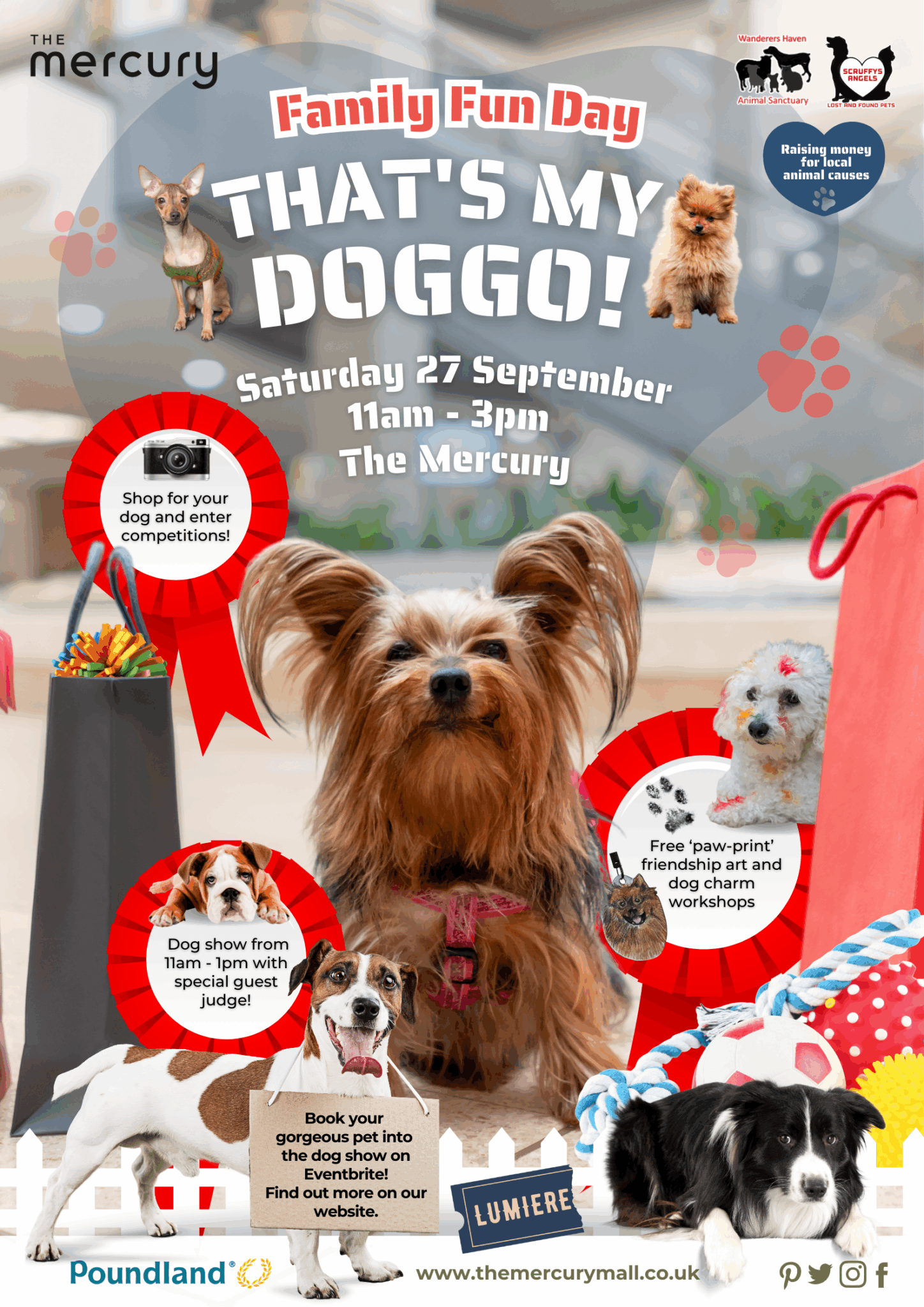 That's My Doggo!- Family Fun Day - The Mercury Shopping Centre